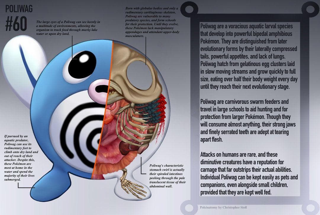 25 Pieces of Pokemon Anatomy Fan Art