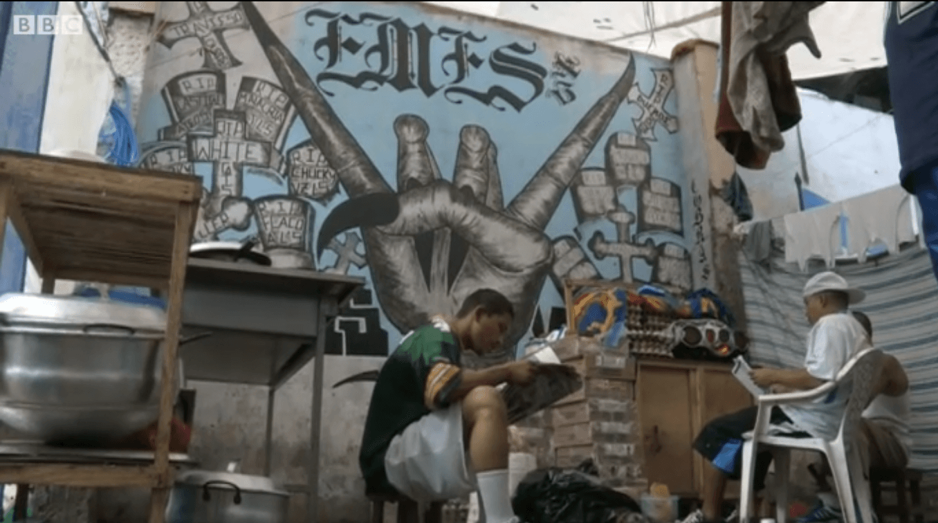 18 Crazy Facts and Stories About the MS-13 Gang