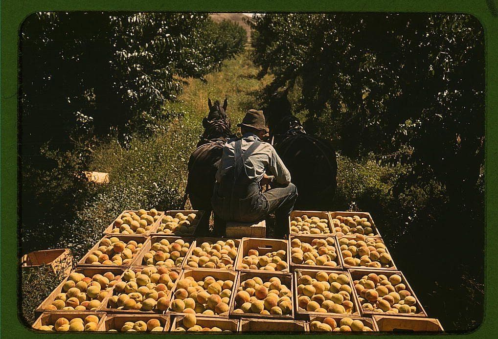 Colorized Photos That Show What Life Was Really Like in the Great ...