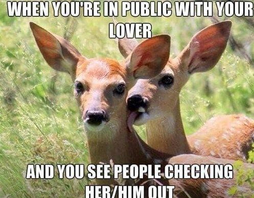28 Hilarious Memes About PDA That Everyone Can Relate To