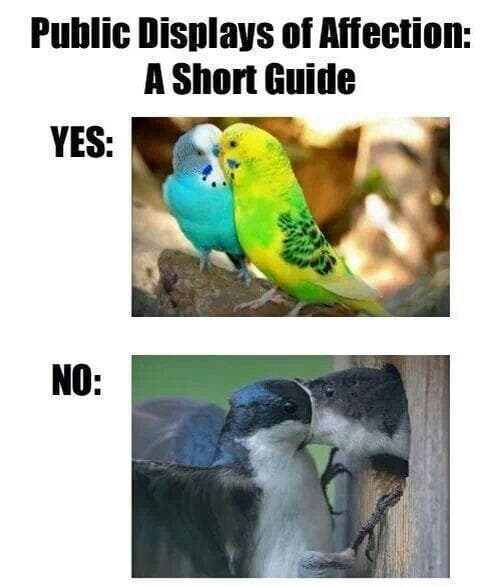 28 Hilarious Memes About PDA That Everyone Can Relate To