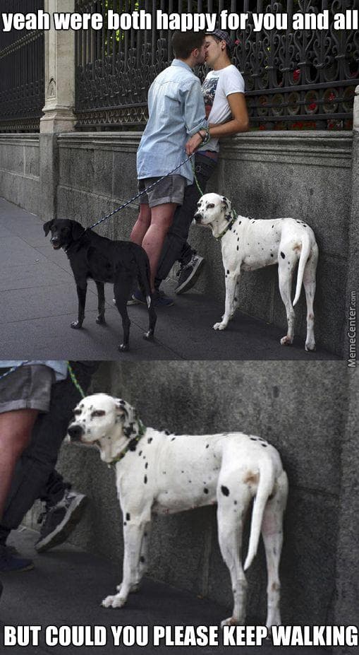 28 Hilarious Memes About PDA That Everyone Can Relate To