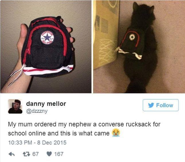14 Hilarious Examples of Online Shopping Expectation vs Reality