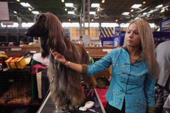 27 People Who Look Exactly Like Animals