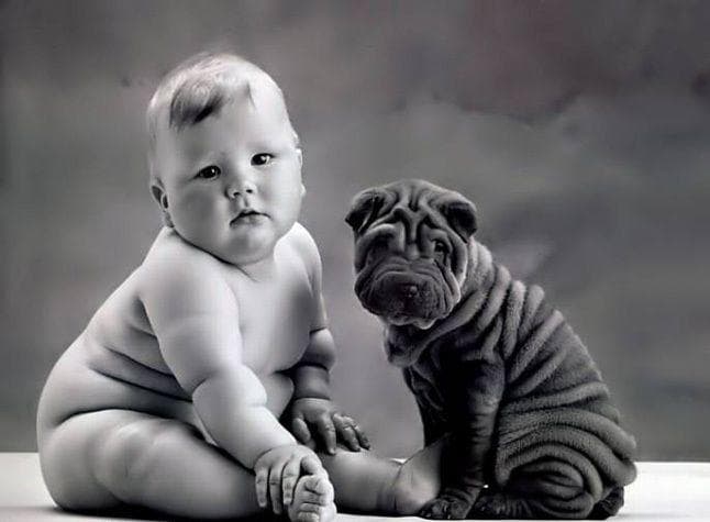 27 People Who Look Exactly Like Animals