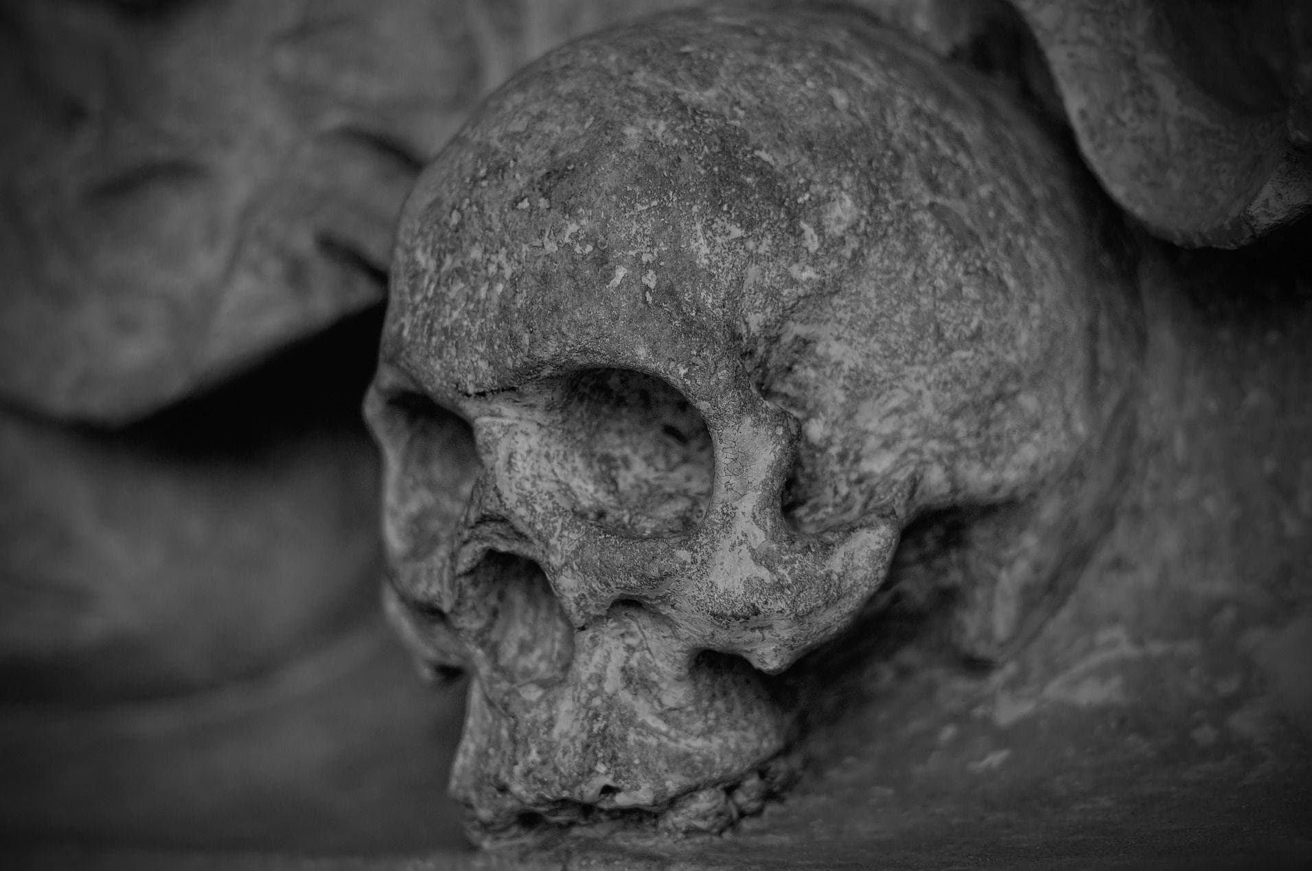 Fascinating Things We’ve Learned From Body Farms