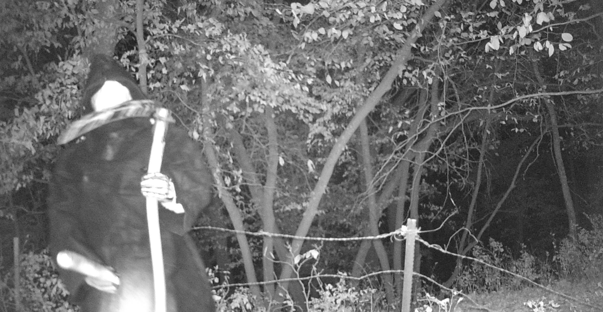 Random Photos That Just Might Contain the Real Grim Reaper | Best ...