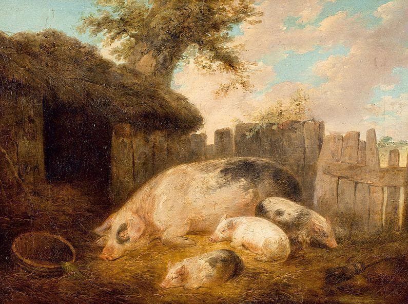 The Craziest and Most Brutal Things the Hatfields and McCoys Did to One ...