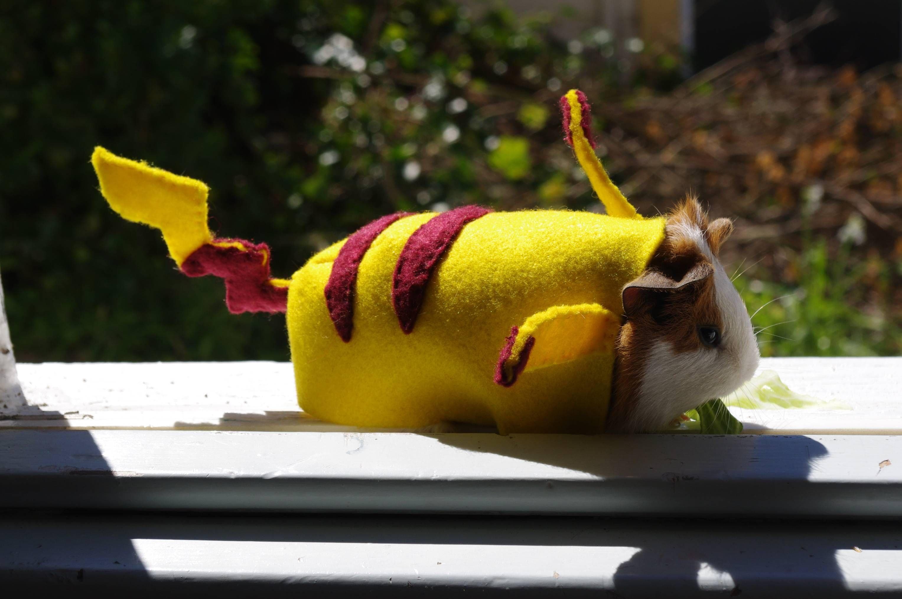 25 Adorable Pets Cleverly Dressed as Pokemon