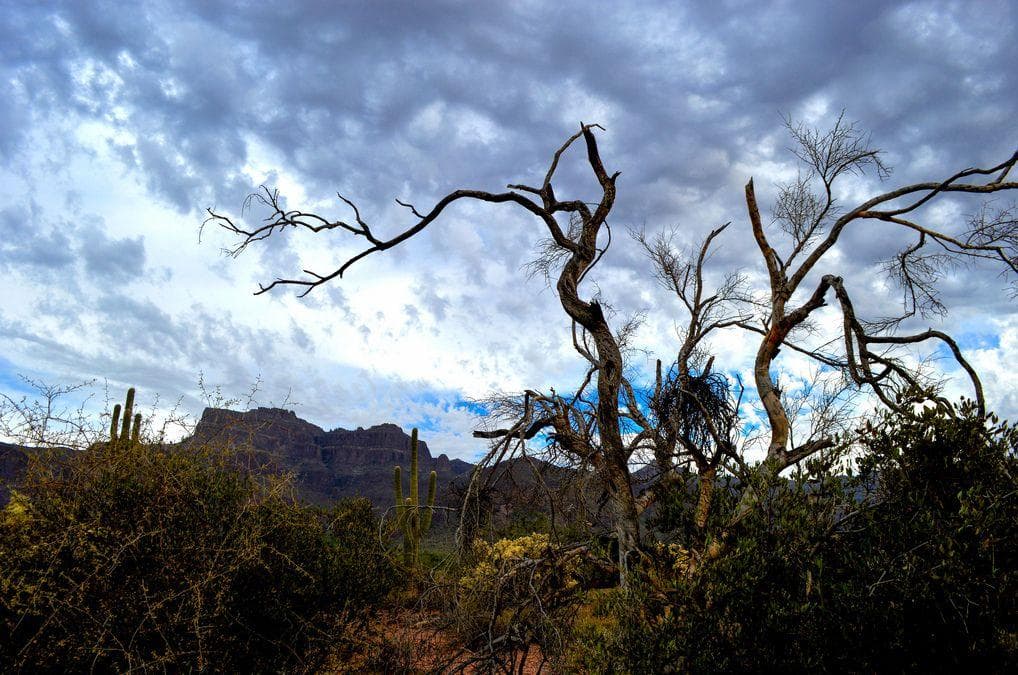 12 People Who Vanished Looking for the Lost Dutchman Treasure