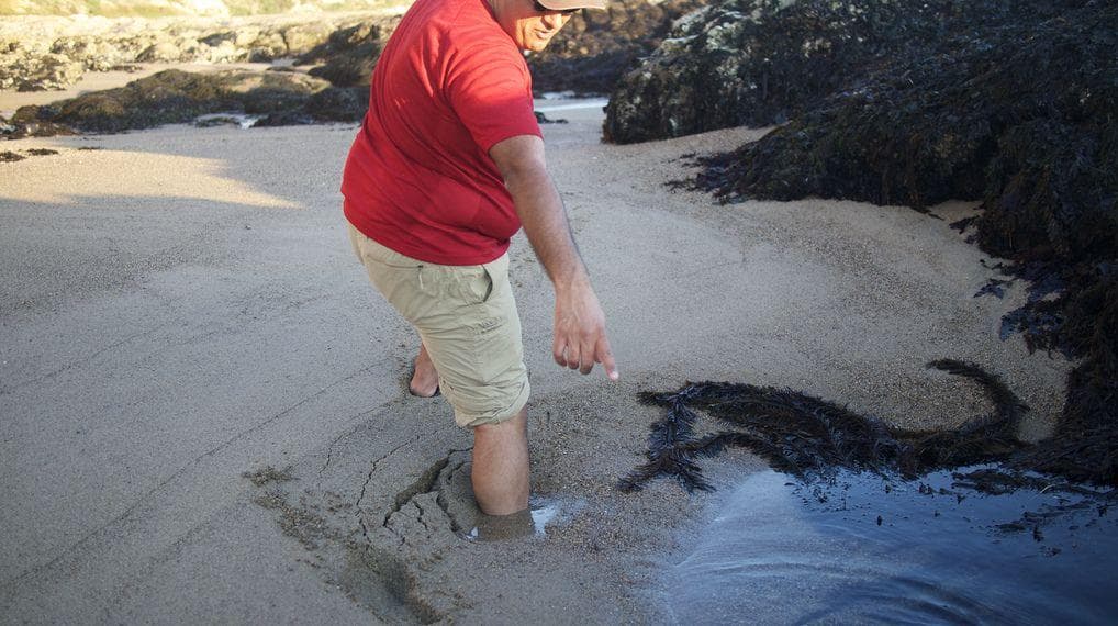 What It's Like to Die from Being Sucked Into Quicksand