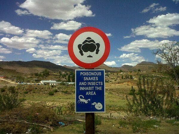 Funny Signs From The South