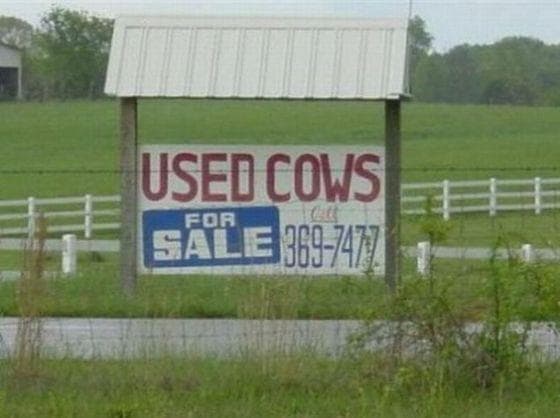 Funny Signs From The South