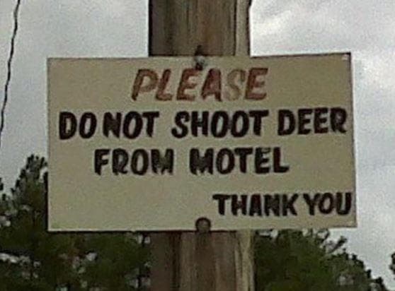 Funny Signs From The South