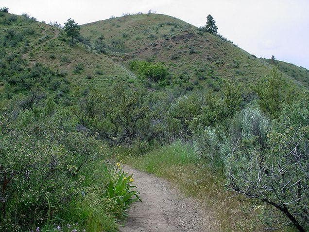 12 Creepy Washington Stories And Urban Legends