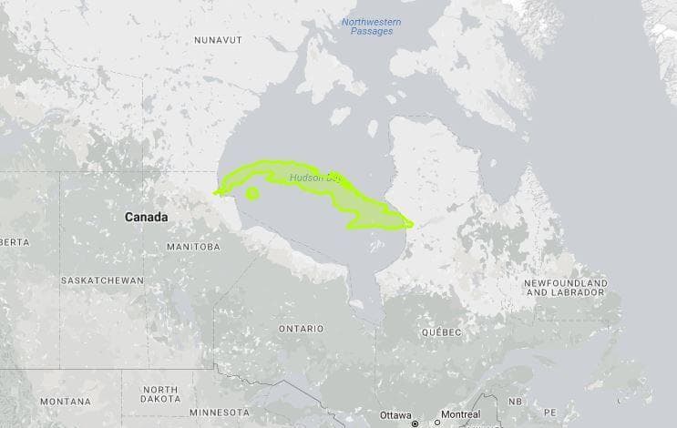 18 True Size Maps That Prove Maps Have Been Lying To You