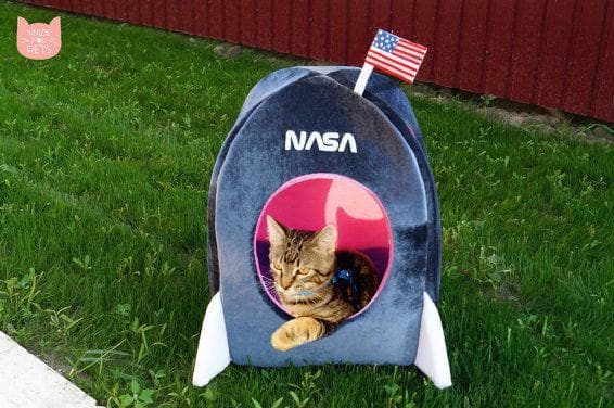 22 Nerdy Animal Habitats Built by Dorky Pet-Owners