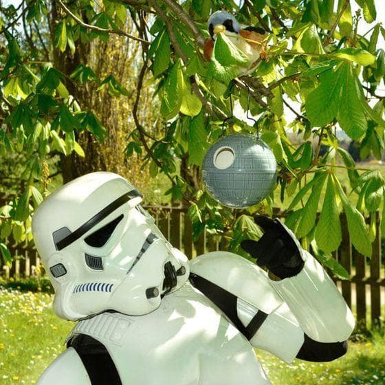22 Nerdy Animal Habitats Built by Dorky Pet-Owners