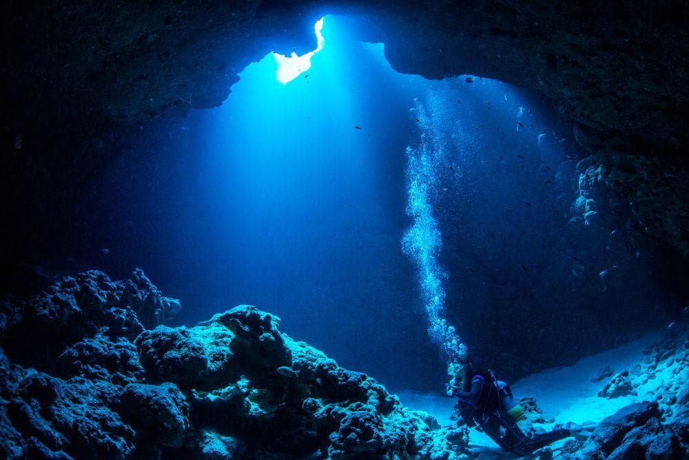 An In-Depth Look At The Mystifying Blue Holes Of The Bahamas
