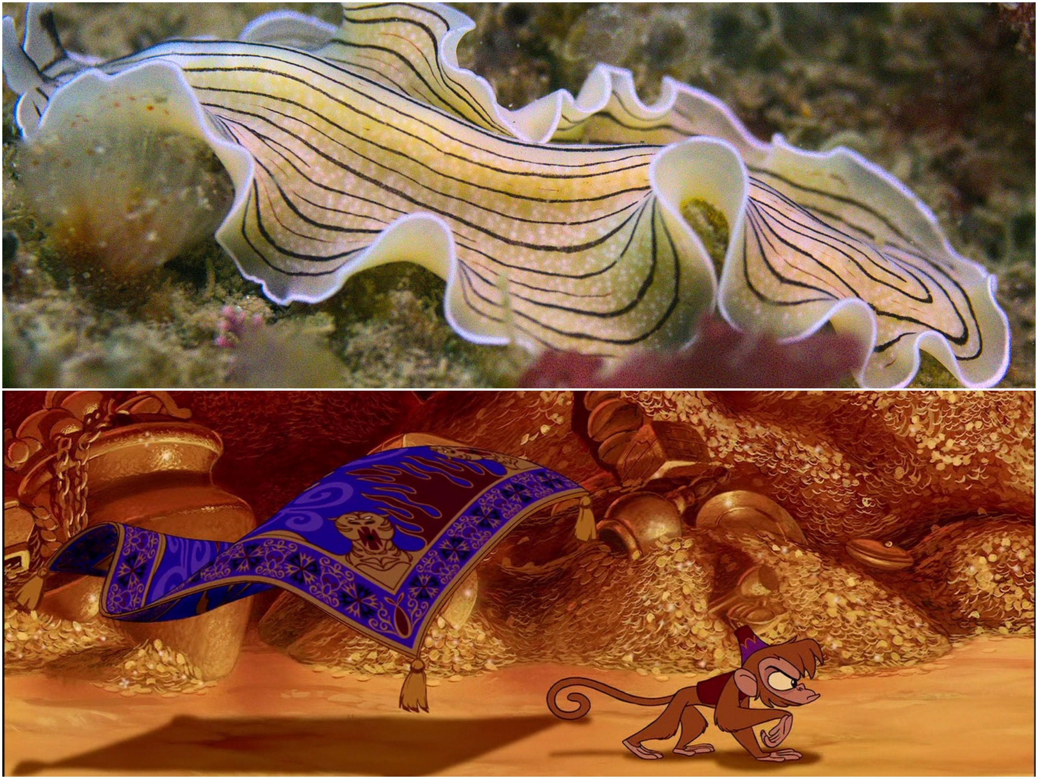 17 Sea Creatures That Totally Look Like Cartoon Characters