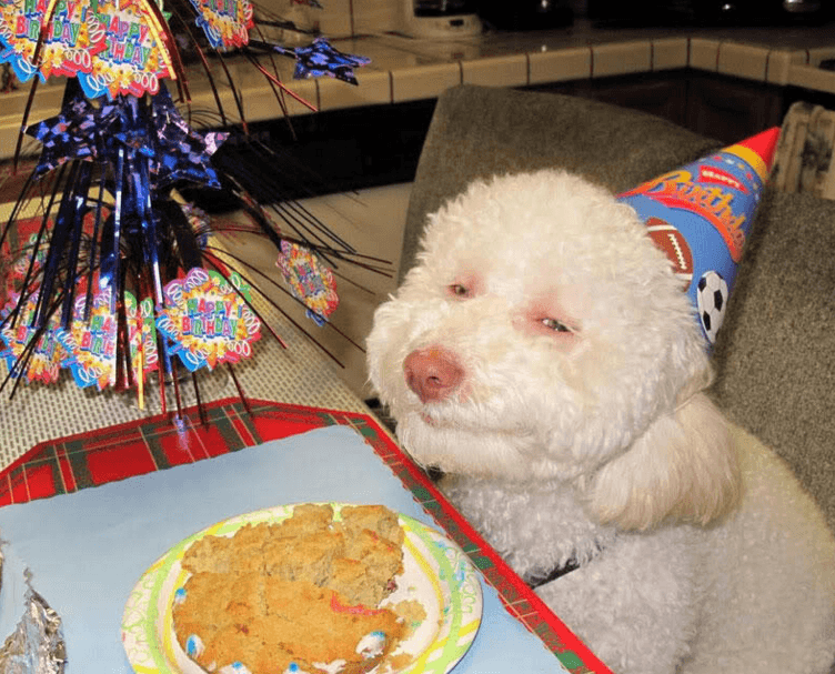 The 28 Most WTF Birthday Party Photos Ever