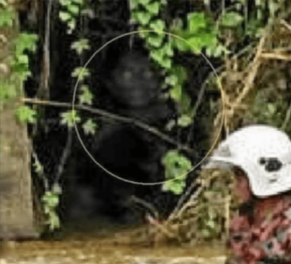 10 Real Photos That Might Just Contain The Devil