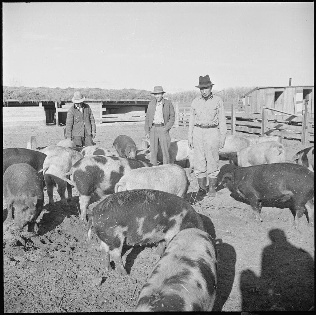 12 Terrifying Facts About Serial Killer Belle Gunness