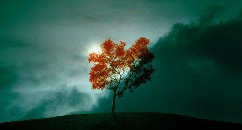 15 Things You Didn't Know About the American Version of The Ring