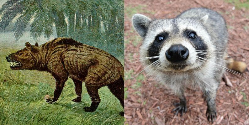 14 Extinct Versions of Cute Animals That Aren't So Cute