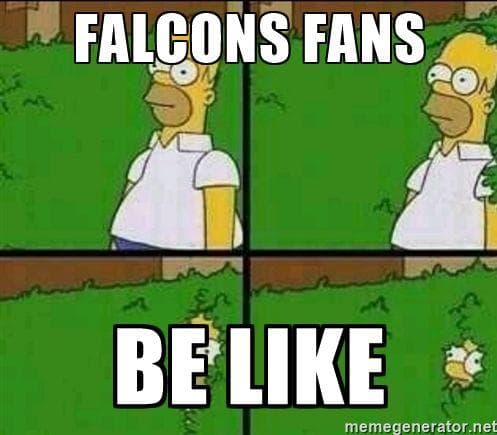 Angry Falcons Fan