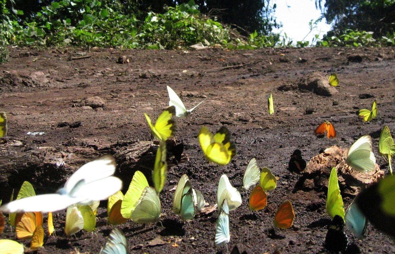 13 People Who Temporarily Died Explain What Heaven is Like