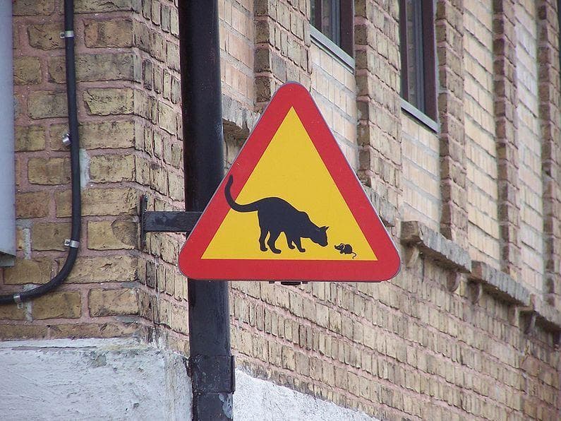 24 Foreign Road Signs That Make Absolutely No Sense