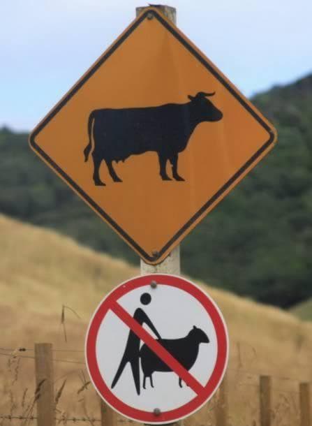 24 Foreign Road Signs That Make Absolutely No Sense
