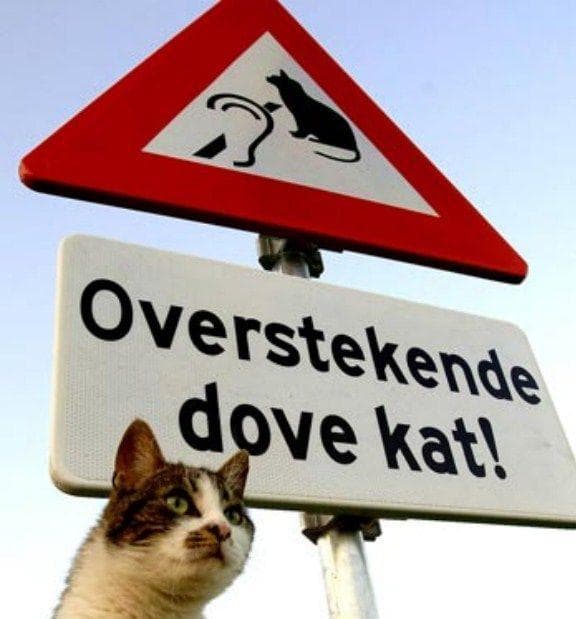 24 Foreign Road Signs That Make Absolutely No Sense