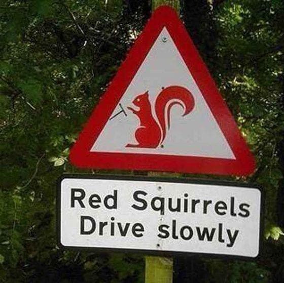 24 Foreign Road Signs That Make Absolutely No Sense