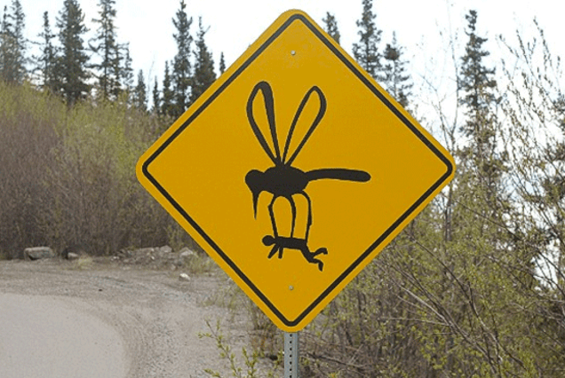 24 Foreign Road Signs That Make Absolutely No Sense