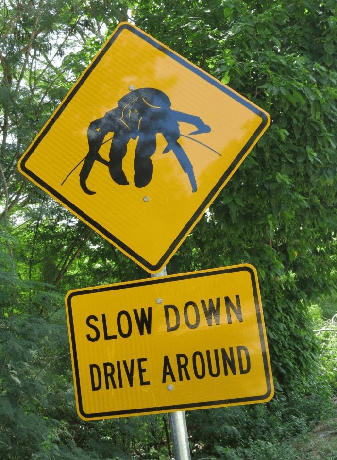 24 Foreign Road Signs That Make Absolutely No Sense