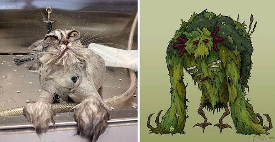 16 Real Animals That Look Like Fictional Characters