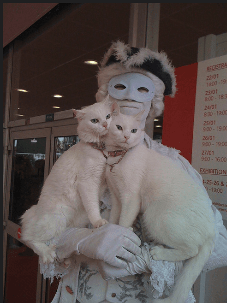 Delaware Urban Legends & Creepy Stories