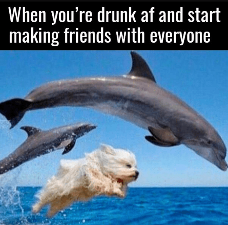 29 Funny Memes About Drinking And Getting Drunk