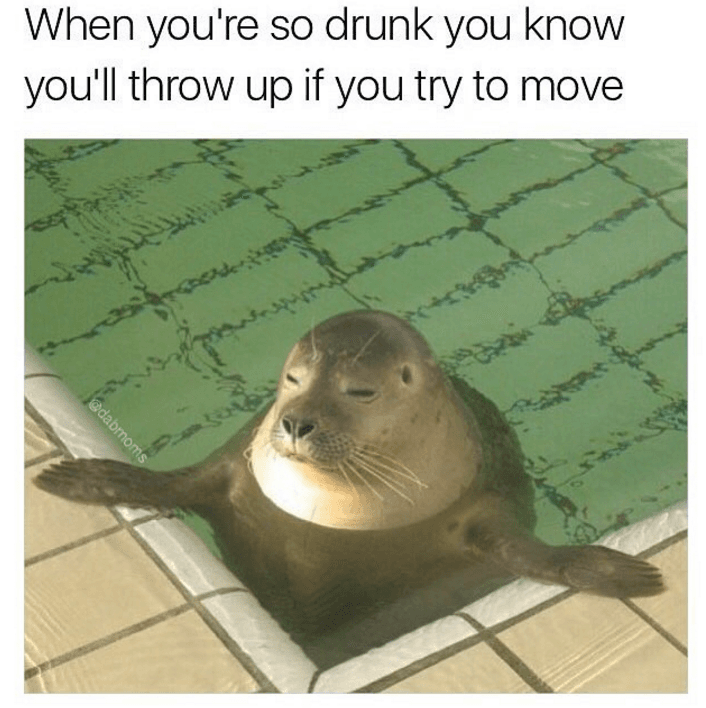 29 Funny Memes About Drinking And Getting Drunk