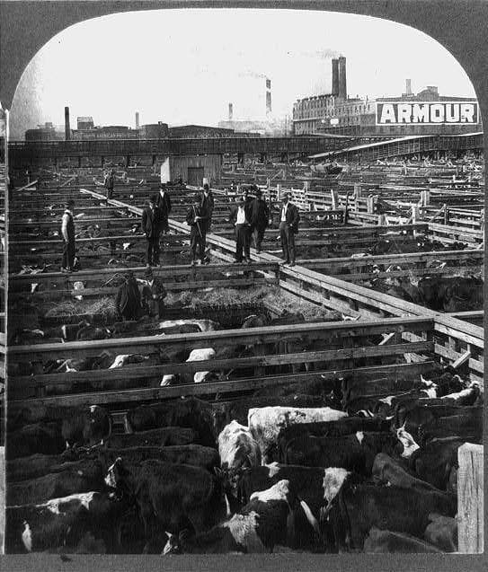 12 Horrifying Fact About Conditions in Early Meatpacking Plants