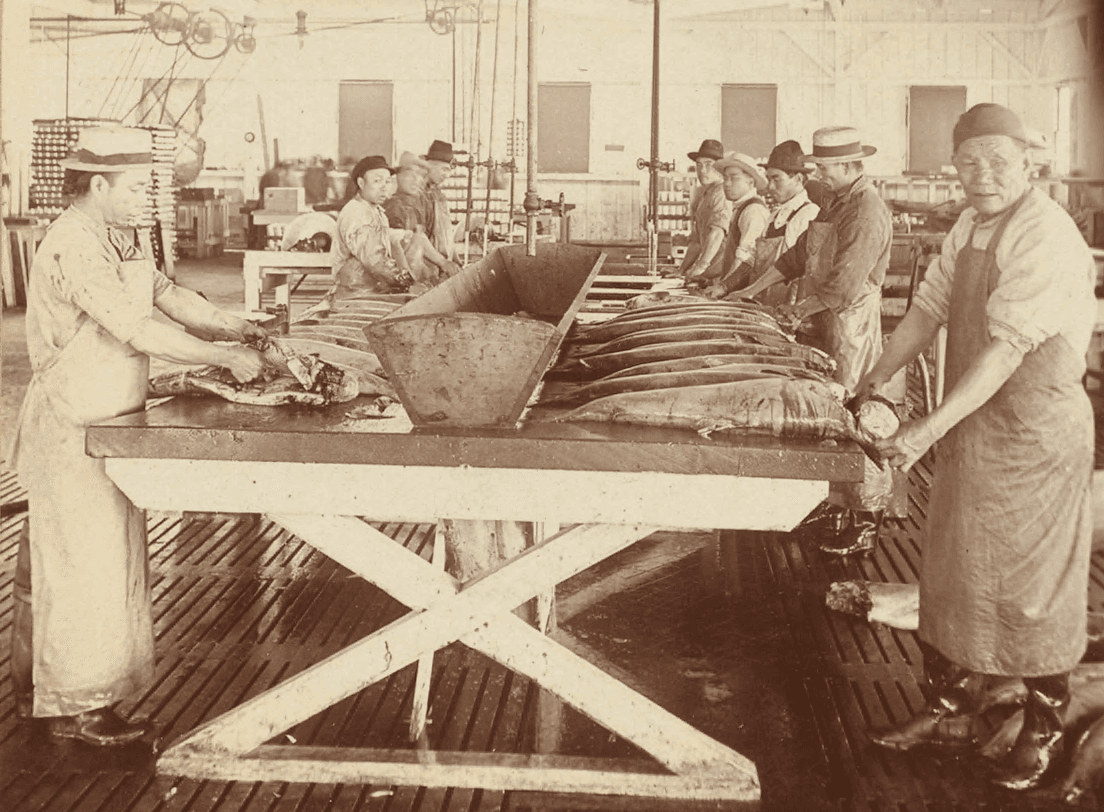 12 Horrifying Fact About Conditions in Early Meatpacking Plants