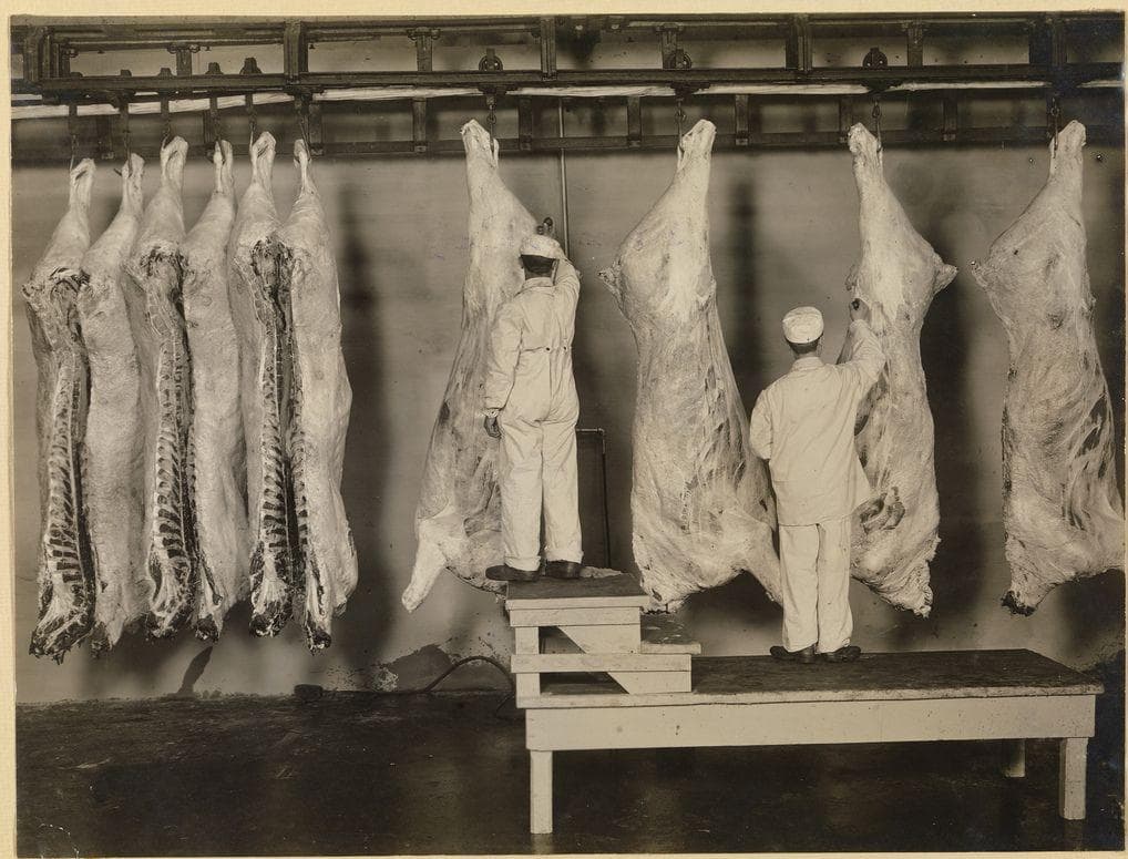 12 Horrifying Fact About Conditions in Early Meatpacking Plants
