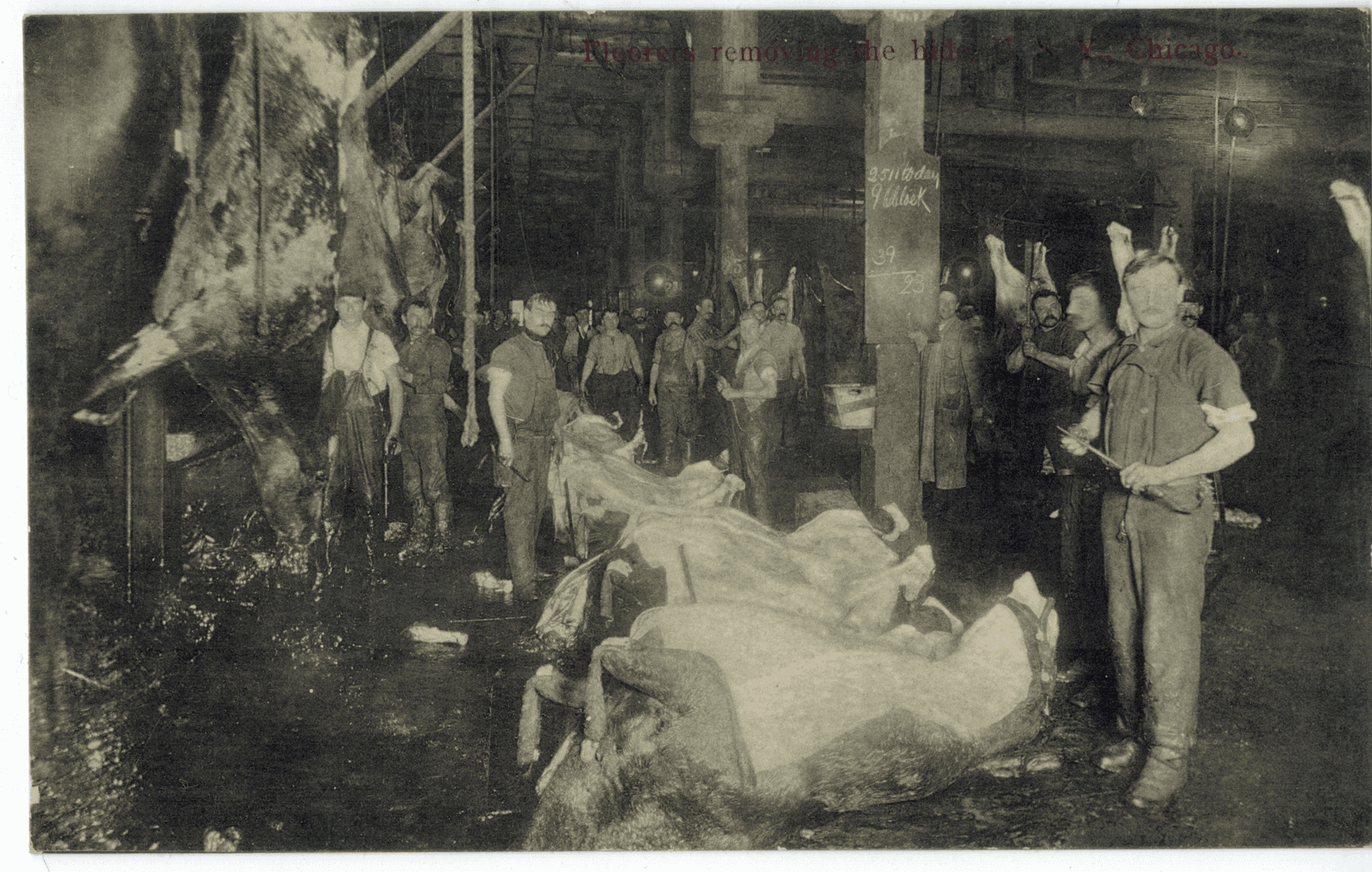 12 Horrifying Fact About Conditions in Early Meatpacking Plants