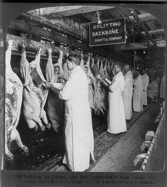 12 Horrifying Fact About Conditions in Early Meatpacking Plants