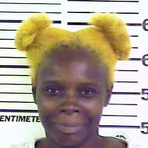 The 25+ Most Epic Mugshot Hairdos Ever