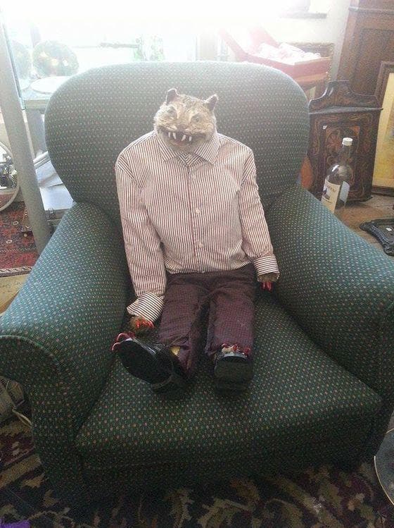 23 Horrifying Pieces Of Taxidermy That Shouldn't Exist (Photos)