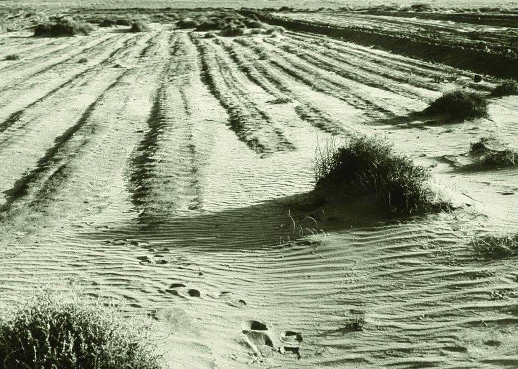 23 Powerful Dust Bowl Photos That Put Things Into Perspective