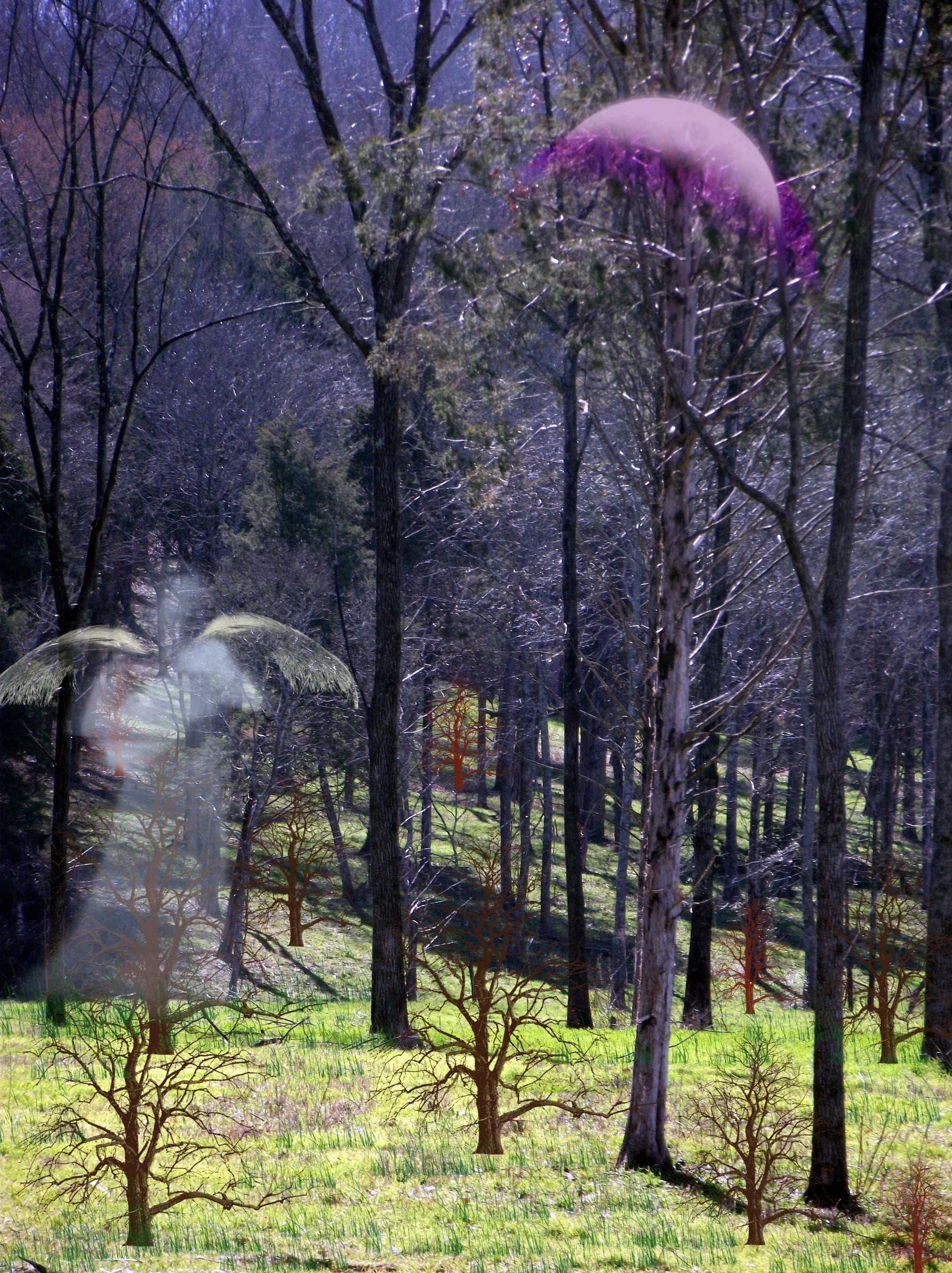 15 Creepy Photos That Might Just Contain Actual Angels